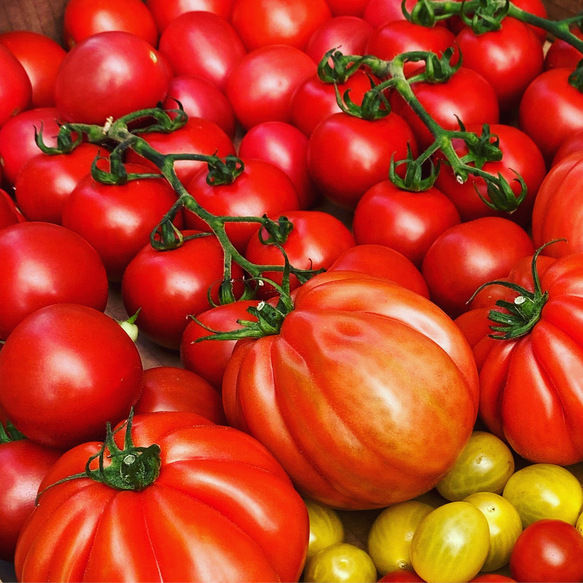 Fresh Produce – Mudwalls Food Group
